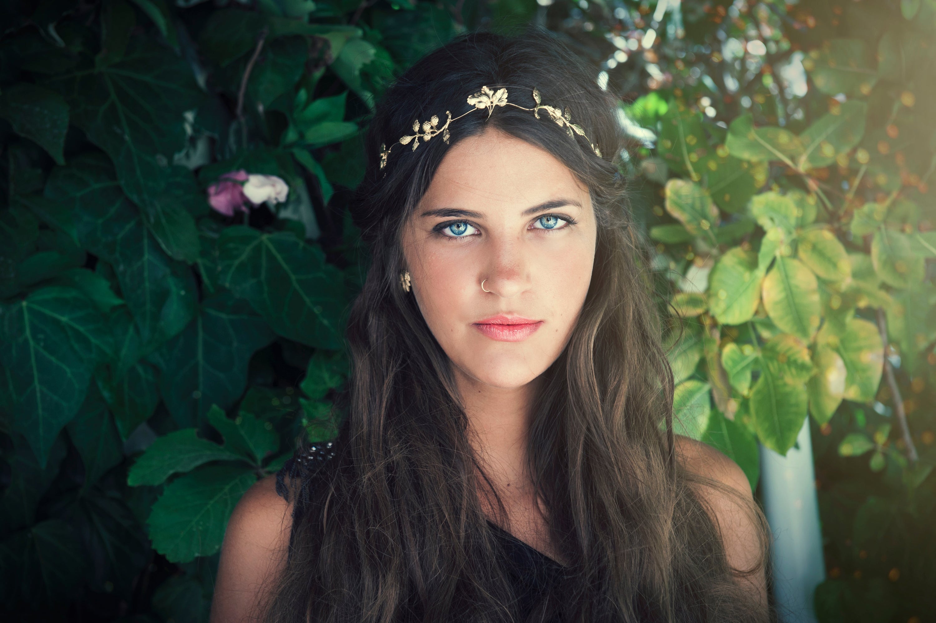 About Avigail Adam – Avigail Adam