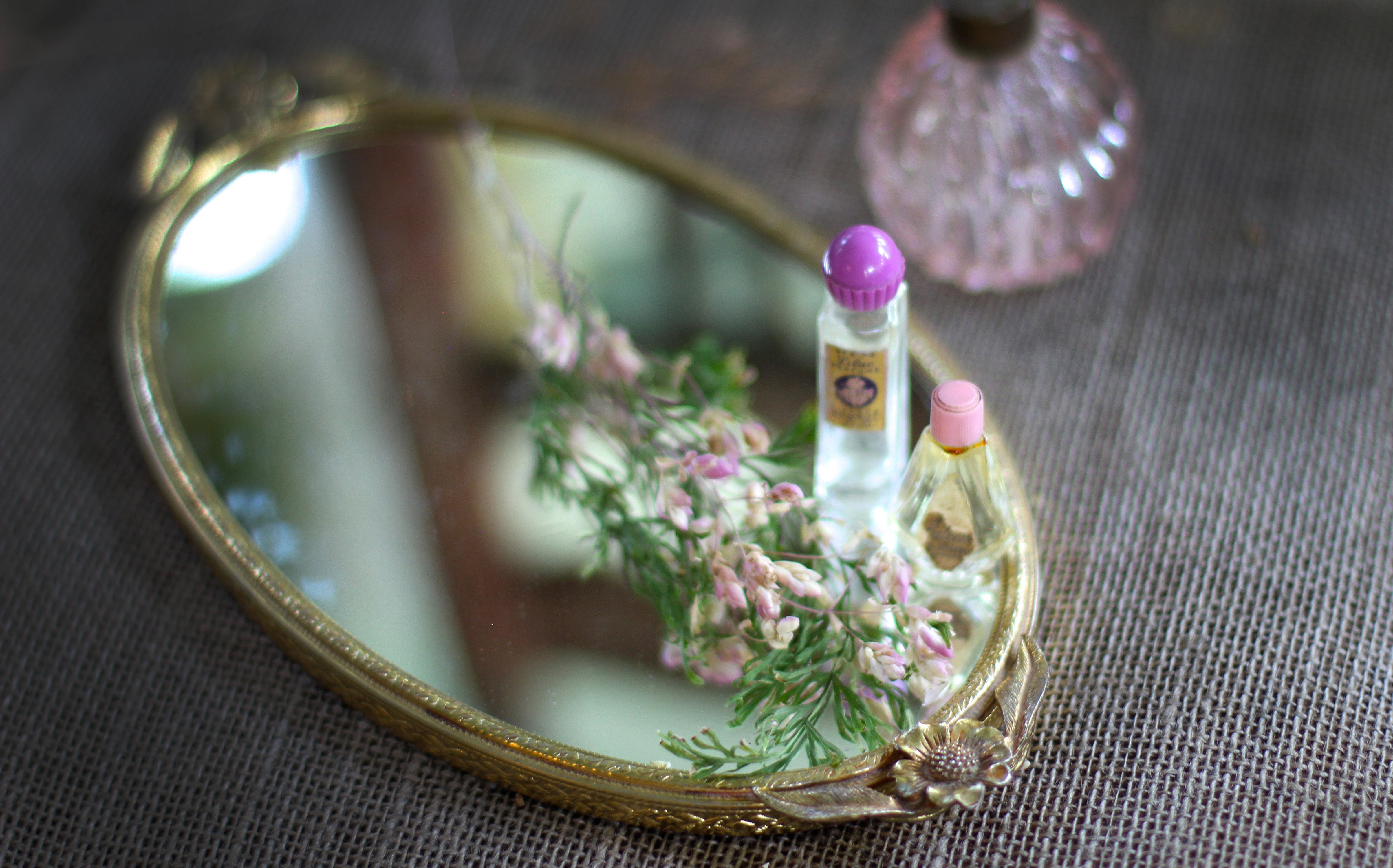 Collections – Avigail Adam