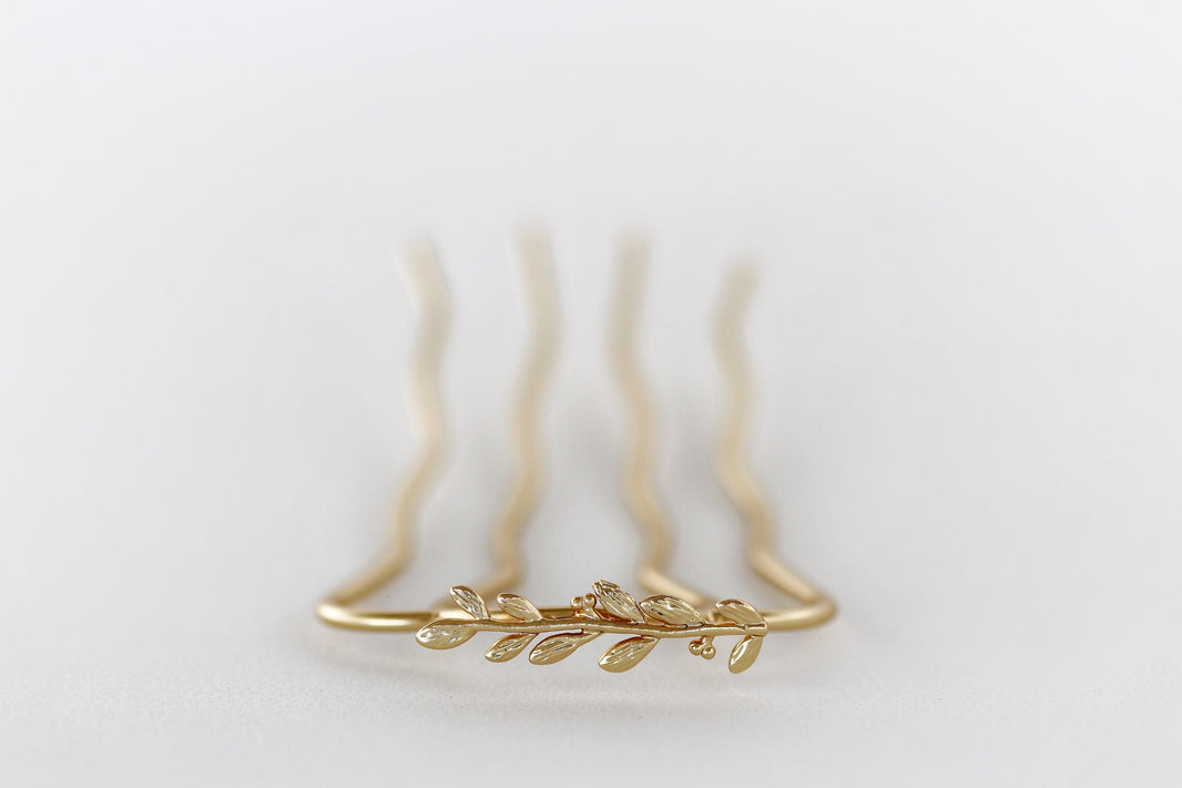 Collections – Avigail Adam